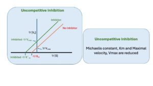 "Enzyme Inhibition: Mechanisms and Its Impact on Biochemical Reactions ...